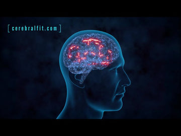 News – CerebralFit